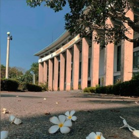 学生の73％がCDMに参加 ヤンゴン技術大学 – ミャンマー最新ニュース・情報誌－MYANMAR JAPON